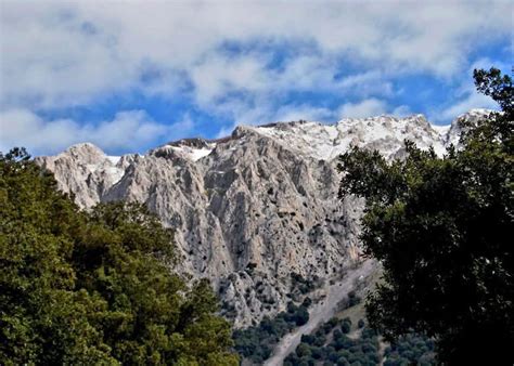 Tamuli Tamuli And Co · Siti E Aree Archeologiche · Macomer