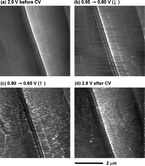 afm images 5 μm × 5 μm of the basal plane surface of highly oriented