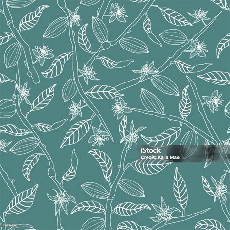 라인 아트 코코아 나무 가지 꽃과 과일 포드 원활한 벡터 패턴 배경 베어링 직물 포장 종이 편지지 가정 장식 벽지 등에 좋습니다 카카오 나무에 대한 스톡 벡터 아트 및 기타