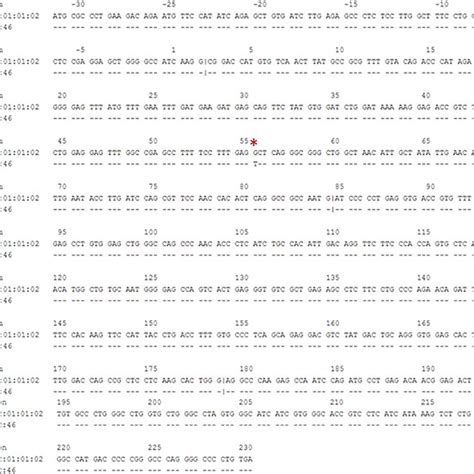 nucleotide sequence alignment exons 1 4 of hla‐dpa1 02 46 compared to