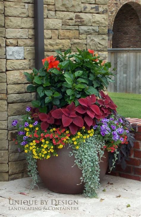 240 Best Large Flower Pots Ideas In 2025 Flower Pots Container
