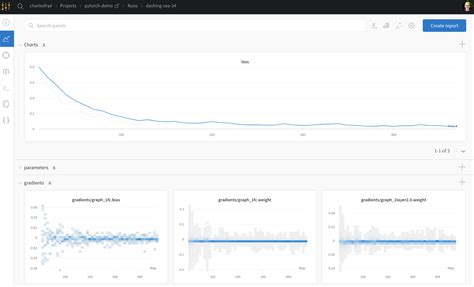pytorch weights and biases documentation