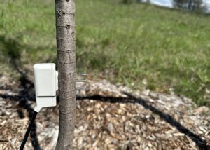 Implexx Sap Flow Sensor Implexx