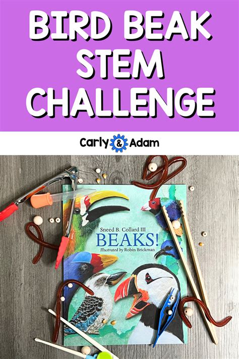 Birds Stem Activities Artofit