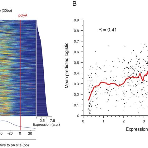 Prediction Of Polyadenylation Signals In Native Sequences A Native Download Scientific