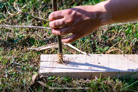 3 Teknik Membuat Api Tanpa Korek Pelajari Untuk Bertahan Hidup Di Hutan Superlive