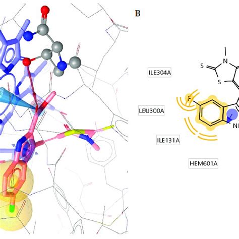 Docked Conformation Of The Most Active Compound 15 In Lanosterol