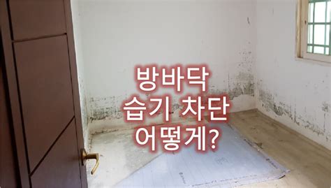 방바닥 습기 반지하방 방바닥 습기 차단 다양한 방법 방바닥 결로 방바닥 곰팡이 반지하방 방바닥 습기제거 재발 방지에 관하여 네이버 블로그