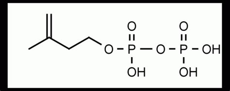 Isopentenyl Pyrophosphate Alchetron The Free Social Encyclopedia