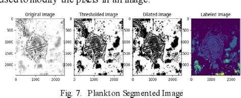 Figure From Machine Learning For Plankton Species Identification And Classification A New Era