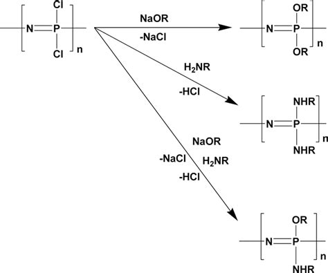 Generational Biodegradable And Regenerative Polyphosphazene Polymers