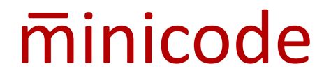 custom business software minicode