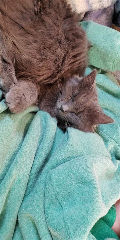 Best Seating At Paycom R Okc