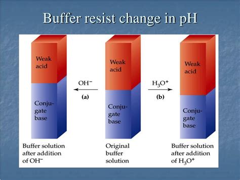 PPT Buffer Solutions PowerPoint Presentation Free Download ID 6578454
