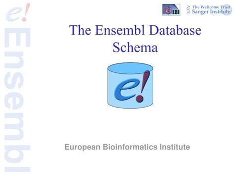Ppt The Ensembl Database Schema Powerpoint Presentation Free Download Id