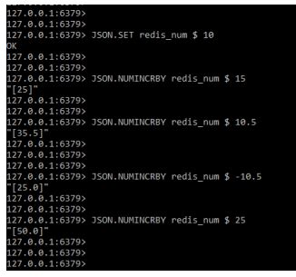 RedisJSON Installing RedisJSON Using The Source Code