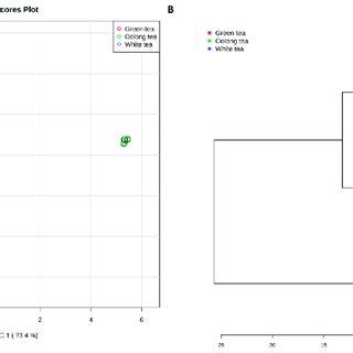 Principal Component Analysis A And Hierarchical Cluster Analysis B