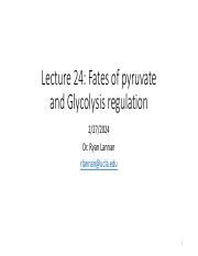 Understanding Pyruvate's Fate: Glycolysis and Its Regulation | Course Hero