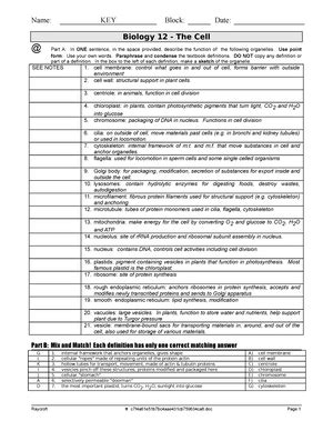 Sex Verification In Sport Babe WS Sex Verification Testing Of Athletes INTRODUCTION Use The