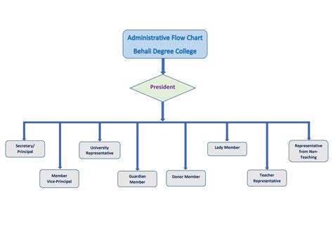 Medication Administration Process Flow Chart