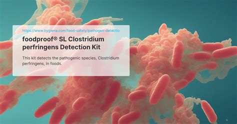 Clostridium Perfringens Detection Kit Hygiena