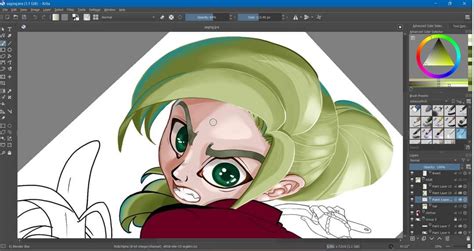 How To Flip The Canvas R Krita
