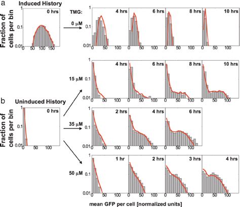 Comparison Between Our Stochastic Model And Experiments For Transitions