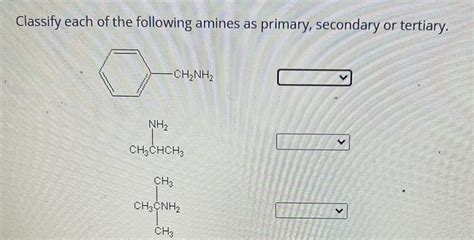 Solved Classify Each Of The Following Amines As Primary
