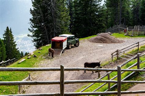 오르티세이의 쉽지만 아름다운 트레킹 코스 돌로미티 세체다 알페 디 시우시 트레킹