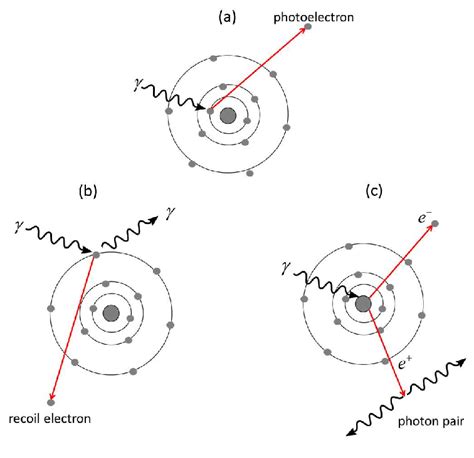 5 Possible X Ray Photon Interaction Processes With The Matter A
