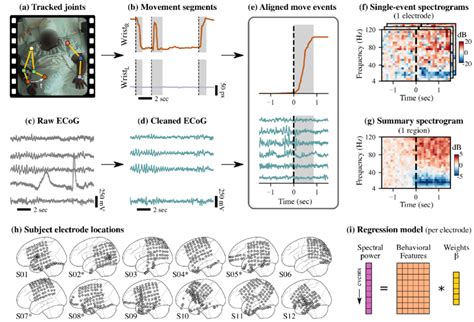 Schematic Overview Of Data Processing Analysis And Modeling