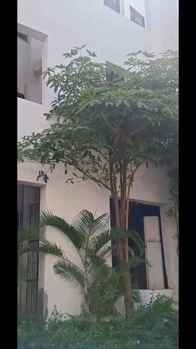 Yashraj Netke On Linkedin Diemsexhibition Engineeringincrete Innovationunveiled