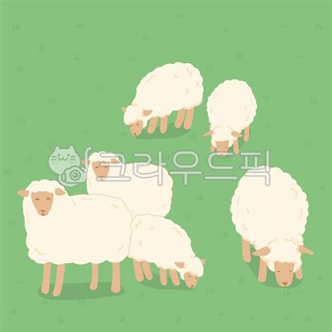 양 양일러스트 양그림 양떼 어린양 사진 이미지 일러스트 캘리그라피 Janeja08작가