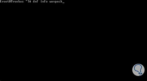 Dnf Gestor De Paquetes En Fedora Solvetic