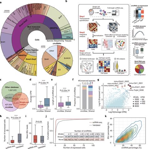 Discovering Circrnas From Large Scale Full Length Single Cell Rna Seq