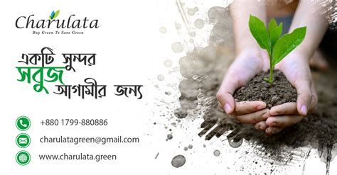 চারুলতা দেশের সর্ববৃহৎ অনলাইন নার্সারি