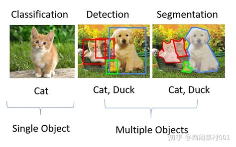 PyTorch Torchvision 经典网络结构实例化及微调 知乎