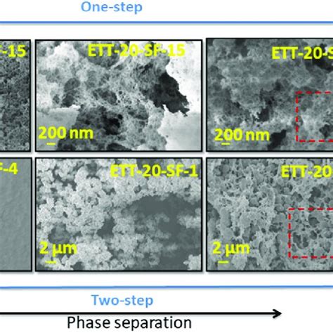 A Sem And B Tem Micrographs Of Some Representative Silica Sf Aerogel Download Scientific