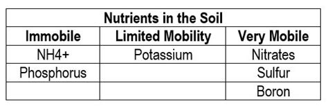 Nutrient Movement And Root Uptake 360 Yield Center
