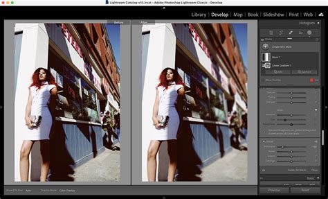 How To Blur The Background Of A Photo In Camera Or Software