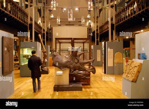 Exhibition At Hunterian Museum West End Glasgow Scotland United