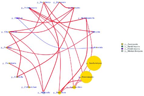 Analysis Of Species Assemblages At The Fungal Genus Level In Blueberry