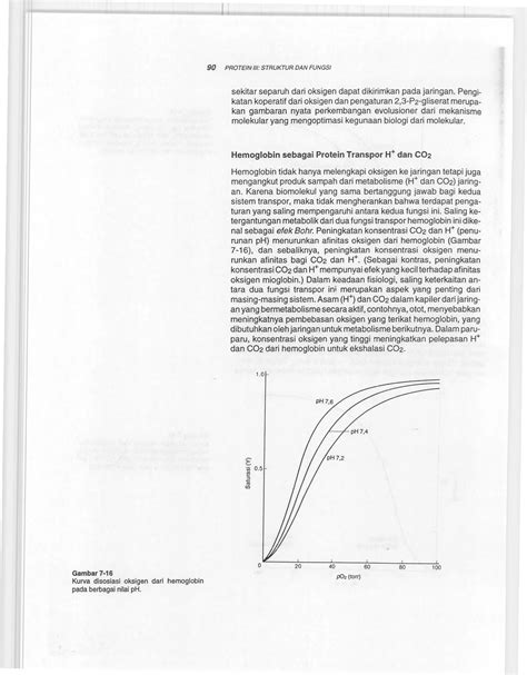 Struktur Dan Fungsi Protein Pdf