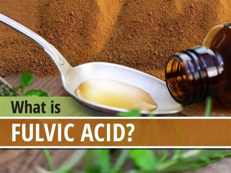 The Health Benefits Of Fulvic Acid Ramsey NJ Patch