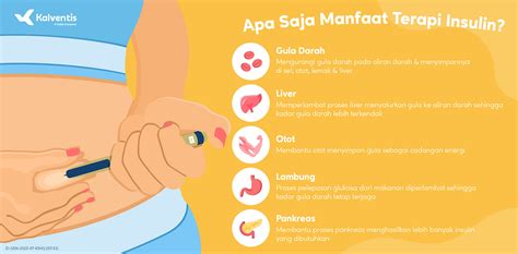 Terapi Insulin Untuk Diabetes Tipe 2 Yang Perlu Diketahui