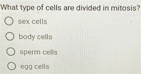 What Type Of Cells Are Divided In Mitosis Sex Cells Body Cells Sperm