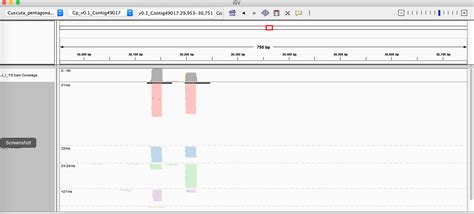 Good Ways To Visualize Aligned Small RNA Seq Data Axtell Lab At Penn State