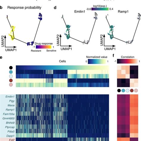 Validating Predicted Drug Response With Pseudotime Trajectory A Cell Download Scientific