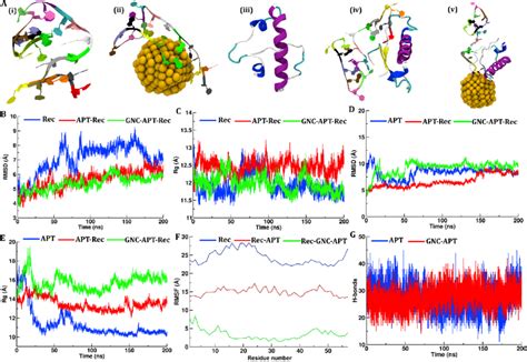 A The Obtained Structures Of The I Apt Ii Gnc Apt Iii Rec
