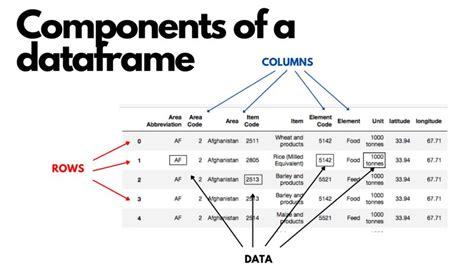 Pandas Coding Ml Dataframe Basics Buggy Programmer